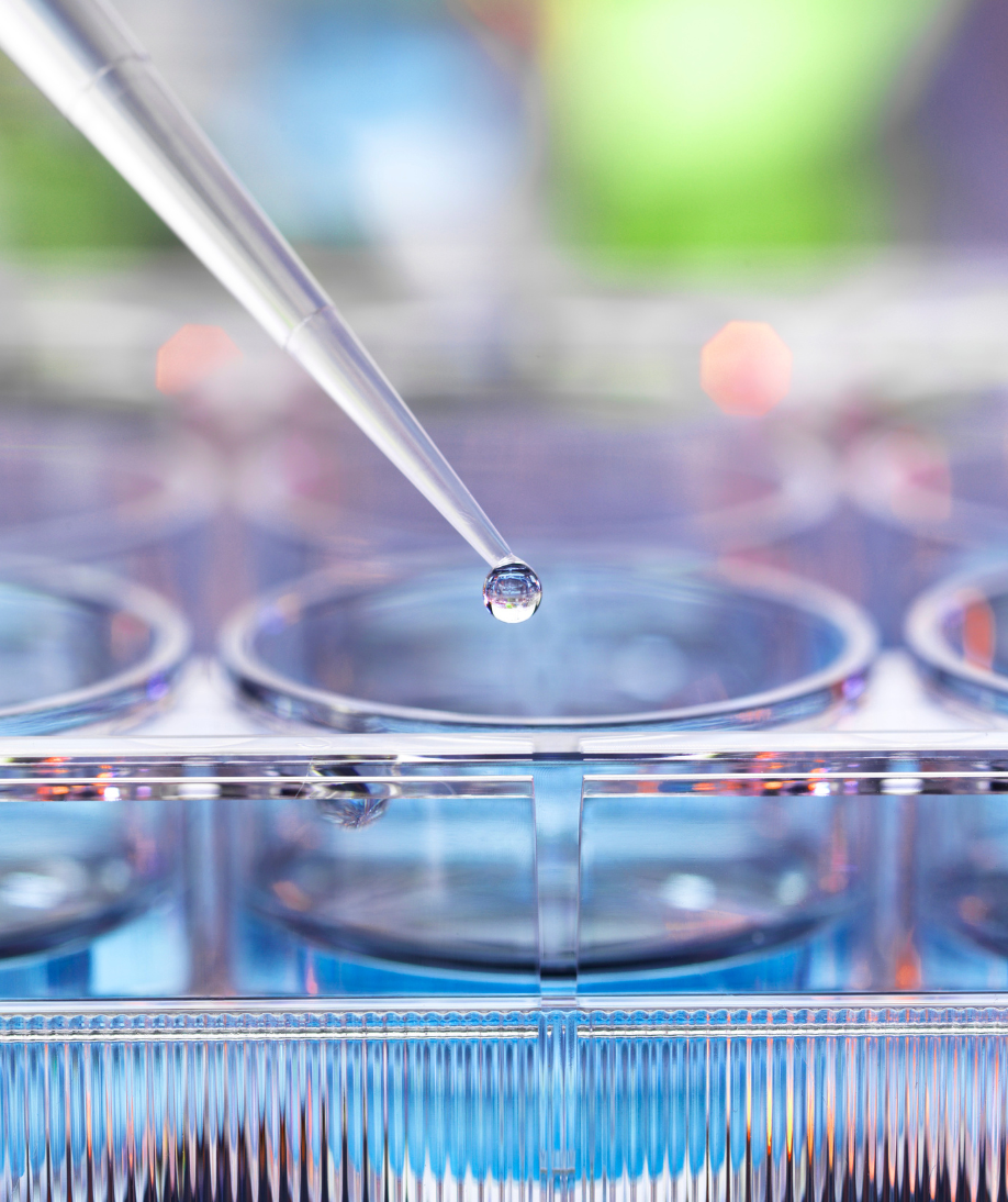 Services - ORF Biologics